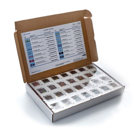 Set of 4 refill trays - MedMinder Shop